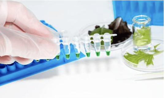 Food Safety – Daylight Foods