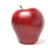 View All – Our Full Product Catalog - Daylight Foods
