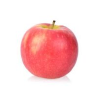 View All – Our Full Product Catalog - Daylight Foods