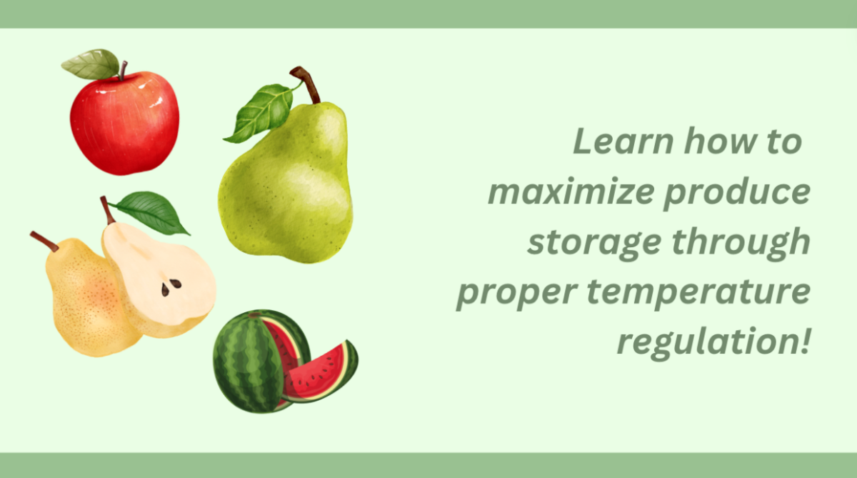 Maintaining Freshness: Optimal Temperatures for Storing Produce ...