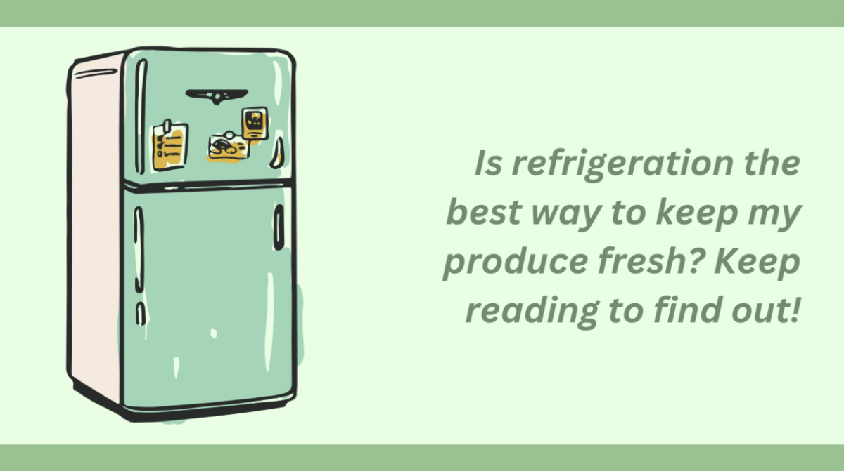 Maintaining Freshness: Optimal Temperatures for Storing Produce ...
